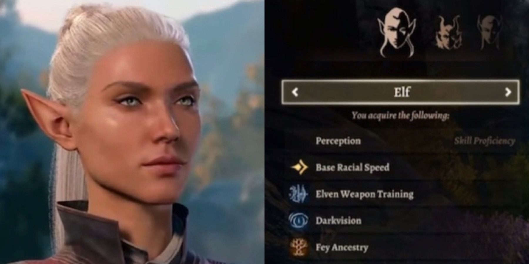 Baldur's Gate 3 : La meilleure construction pour la race des Elfes ...