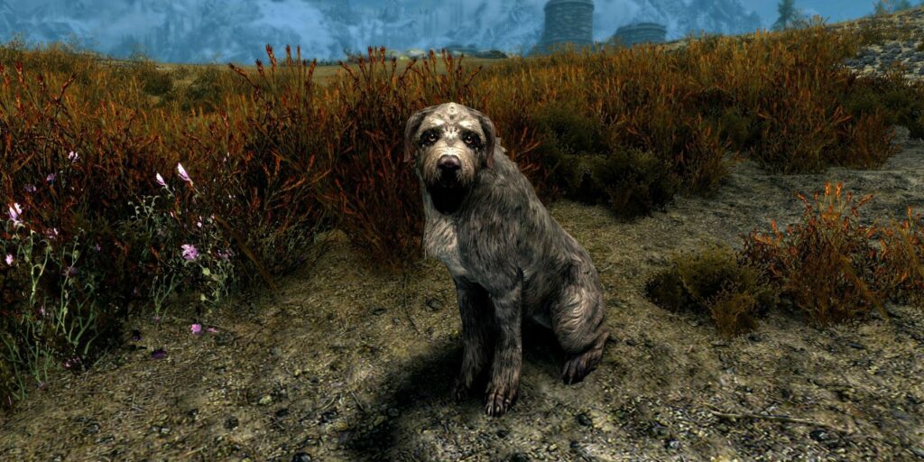Skyrim : Comment obtenir un compagnon canin | Materiel-Gamer.com