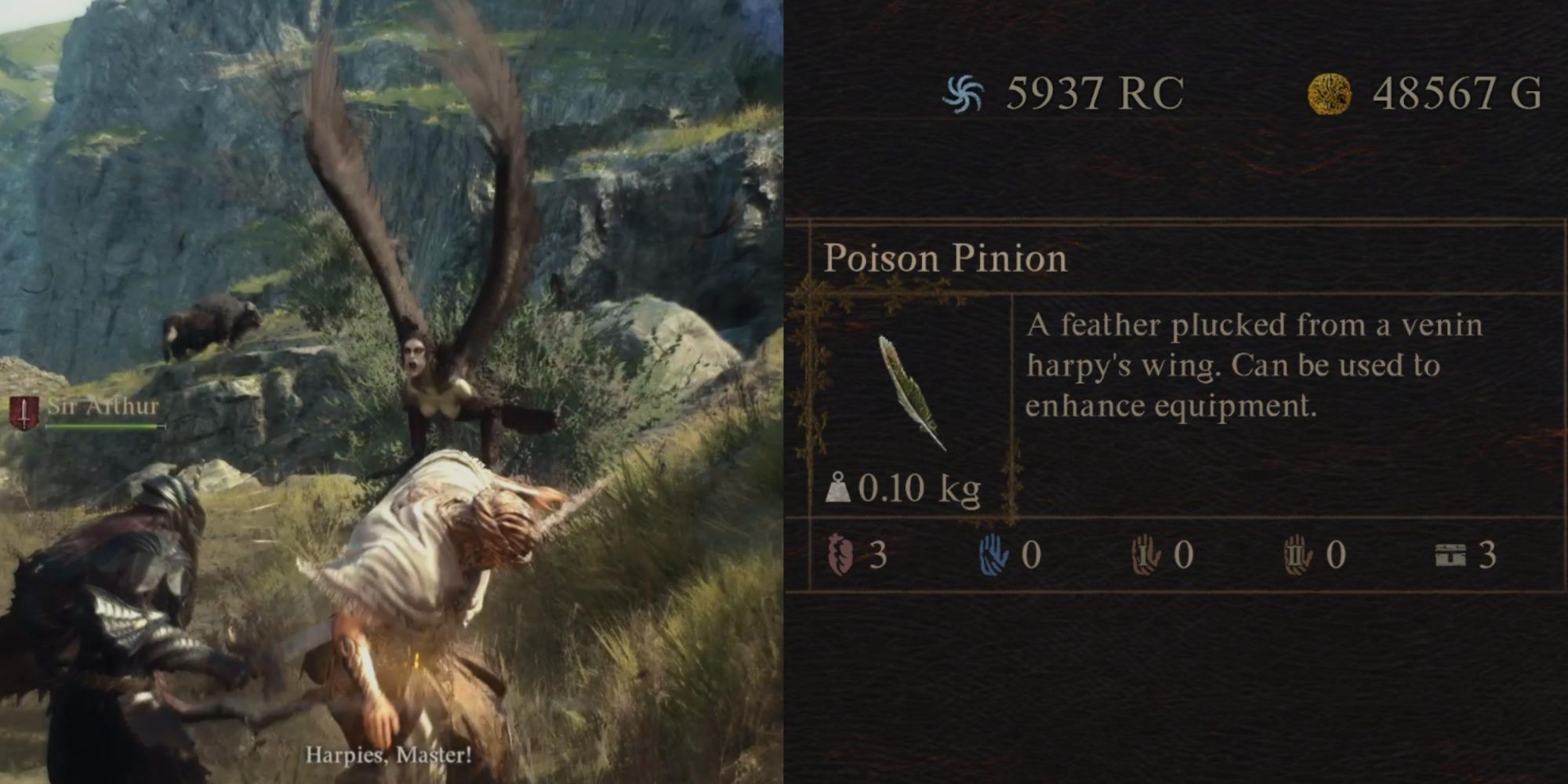 Dragon's Dogma 2: Comment obtenir du poison et des plumes tordues ...